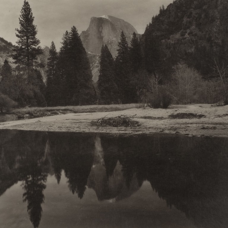 Slow photography: delicate, painterly forest landscapes of Japan’s ...