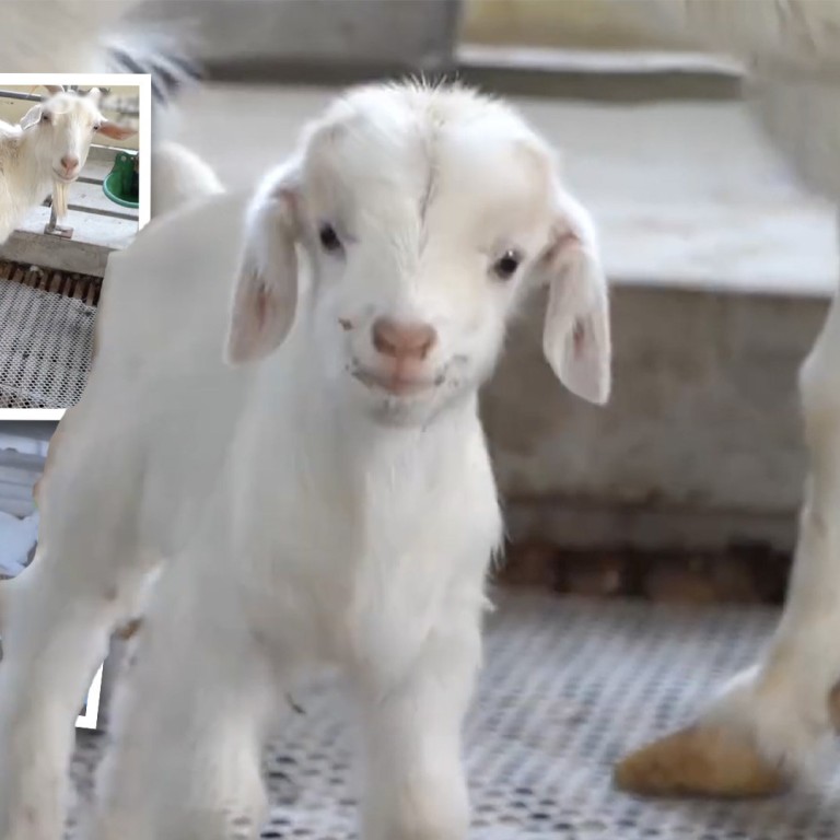 ‘He saves 600 kids a year’: Chinese man who quit job in finance to ...