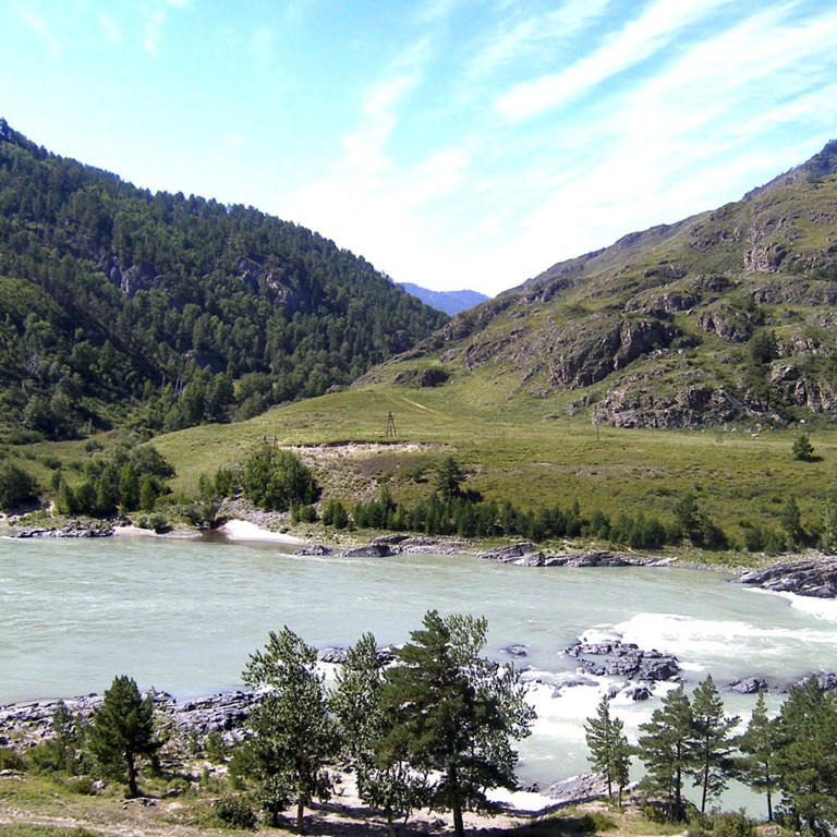 Ancient Siberian genomes show migration from North America to North ...