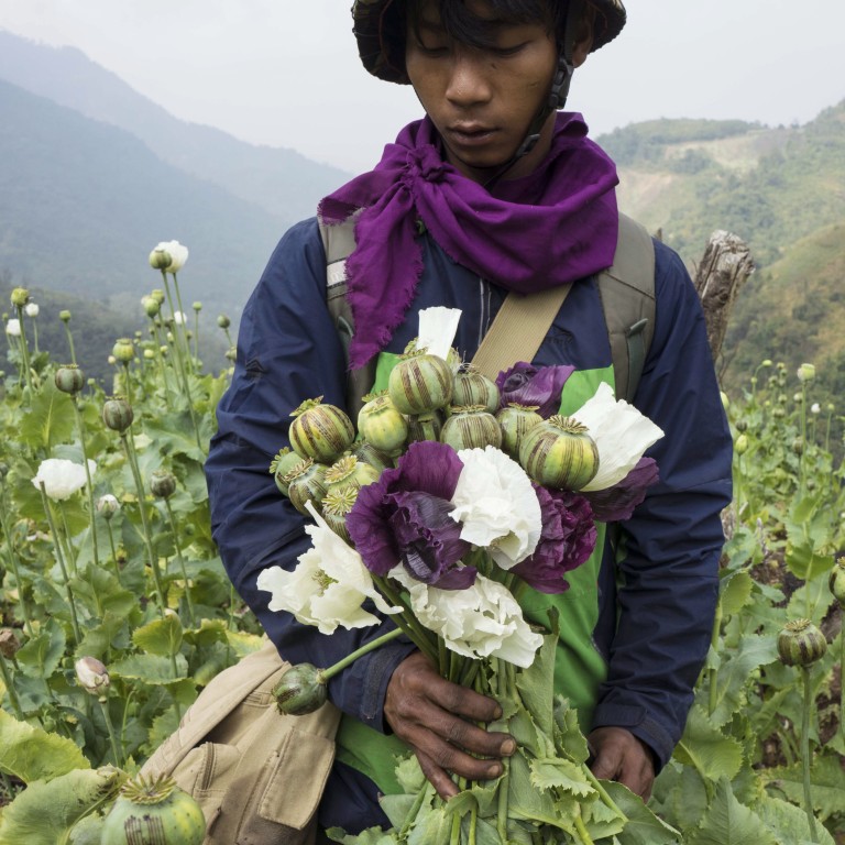 Myanmar opium cultivation has surged 33 per cent since coup, UN report ...