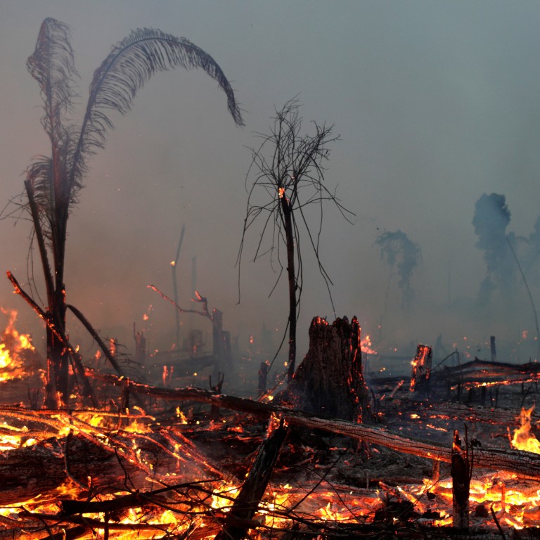 Climate change: burning trees in the Amazon melts snow in the Himalayas ...