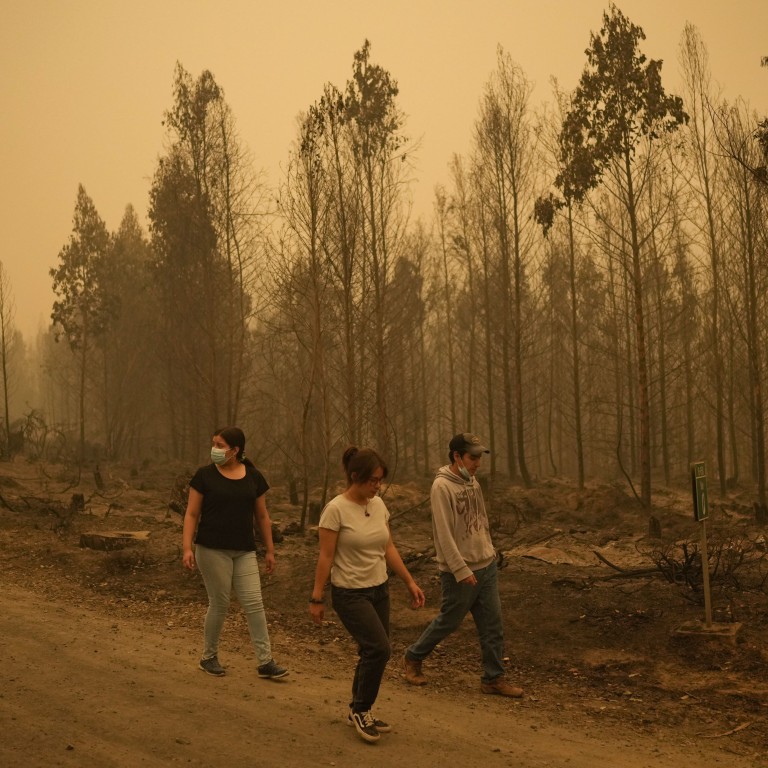 Chile forest fire death toll rises to 24, hundreds left homeless ...