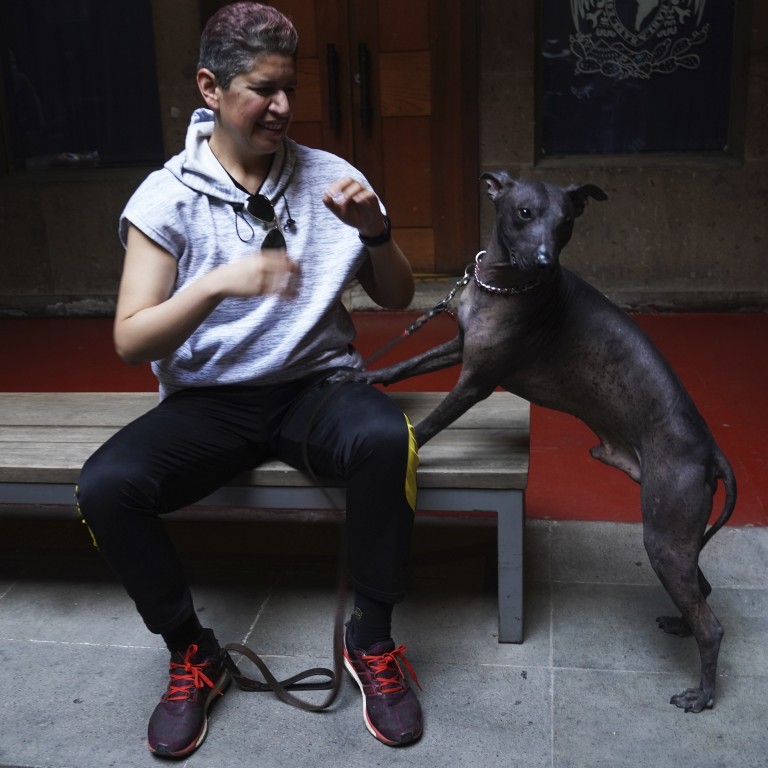 This dog breed’s name means ‘monster’ and it was thought to represent ...