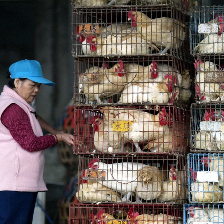 Taiwan imports 50,000 chickens, supermarkets impose rationing to crack ...