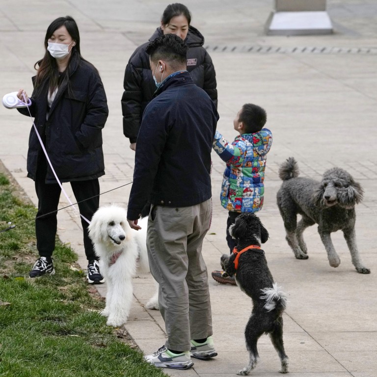 Animal rights in China | South China Morning Post