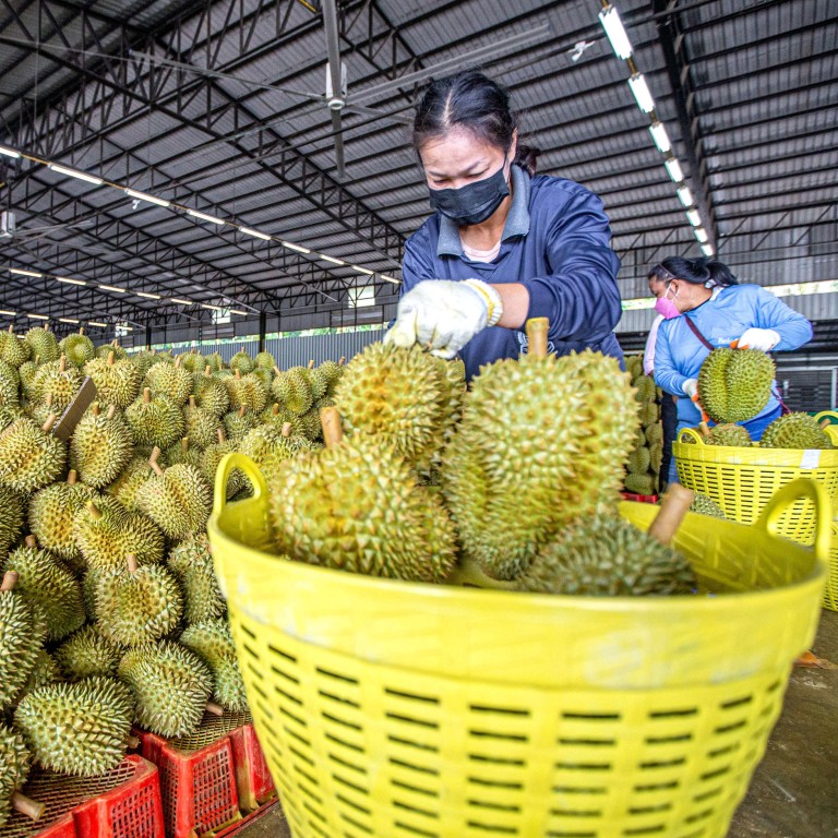 Thailand police launch overnight patrols of durian farms to thwart ...