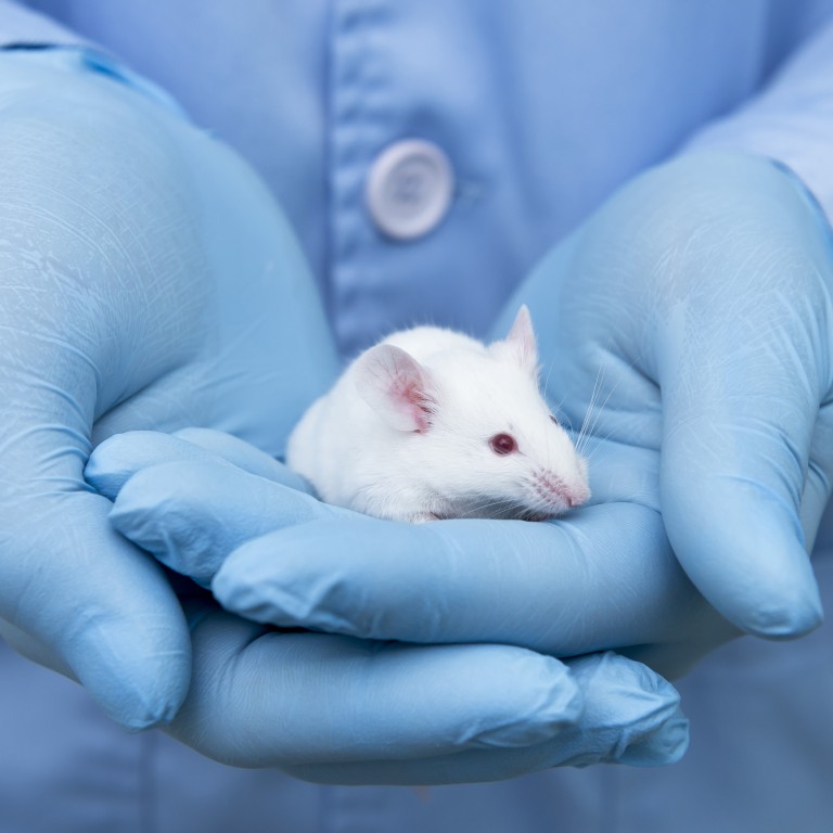 Scientists create baby mice from 2 males for first time | South China ...