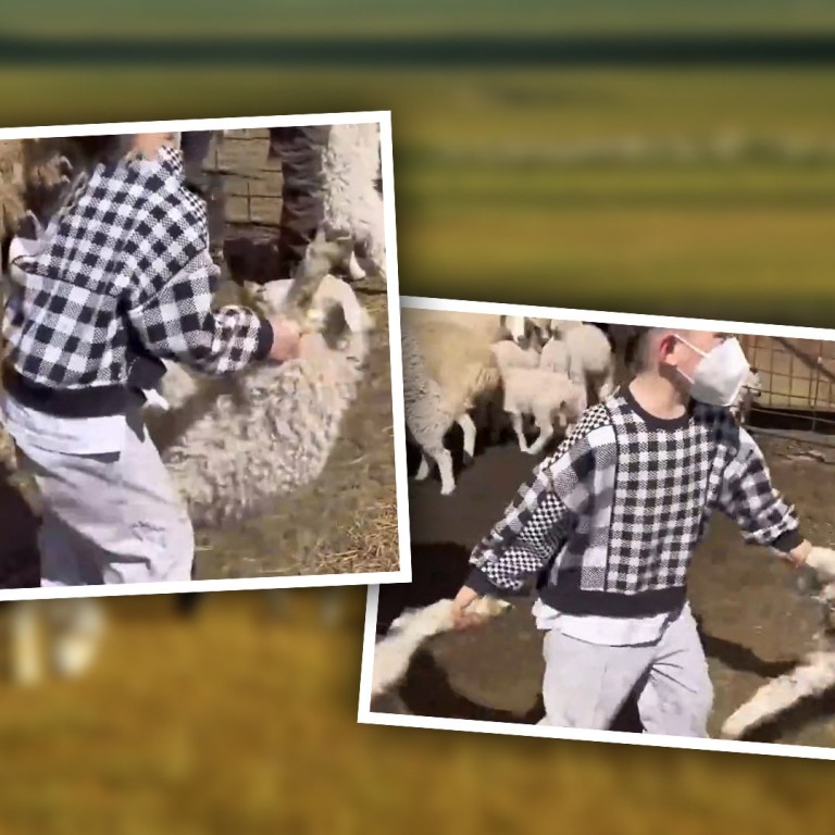 ‘Like a wrestler’: boy, 5, goes viral after rounding up and skilfully ...