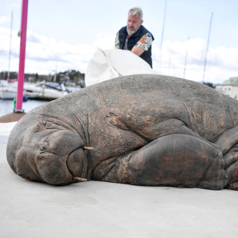 Life-size bronze sculpture of euthanised walrus unveiled in Norway ...