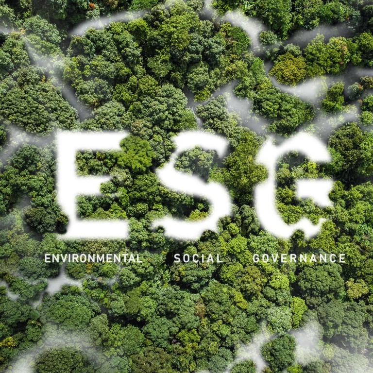 ‘Bidding war’ for ESG talent breaks out among Hong Kong companies needing help on sustainability ...