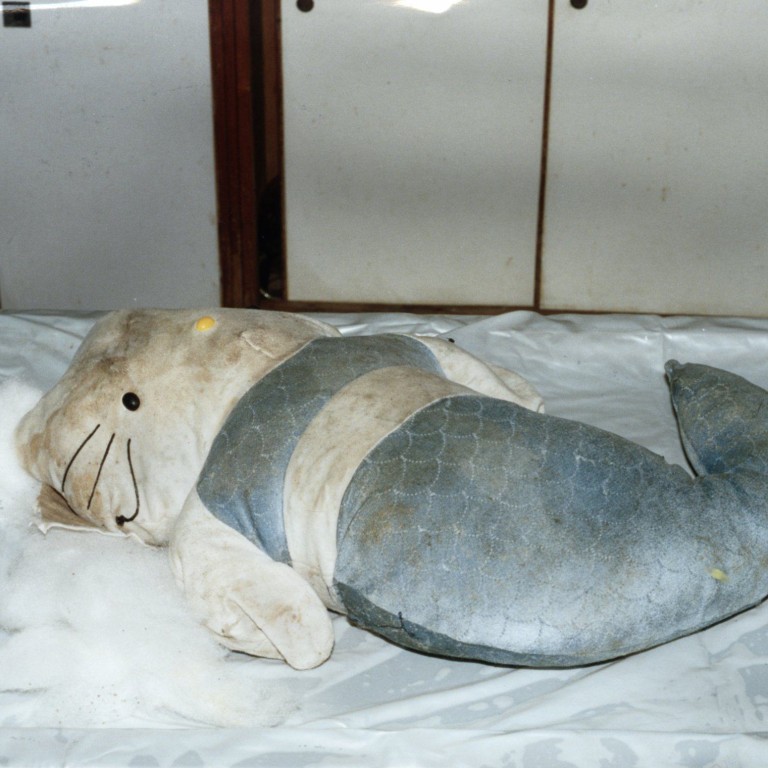 Hong Kong’s Hello Kitty murder case: when a young woman was killed and ...