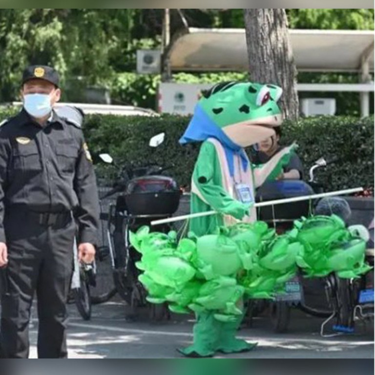 ‘Difficult to earn a living with dignity’: viral Chinese anger as frog ...
