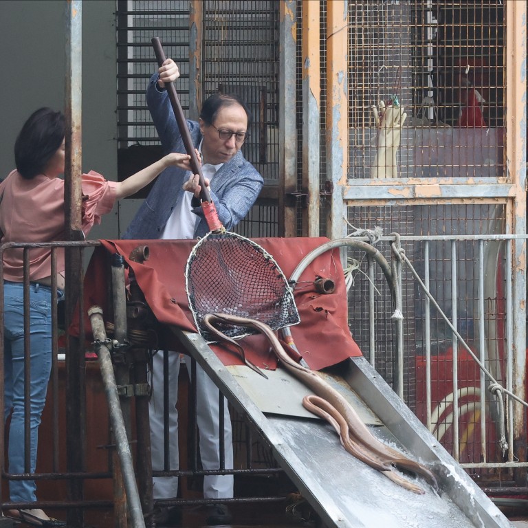 Animal welfare in Hong Kong | South China Morning Post