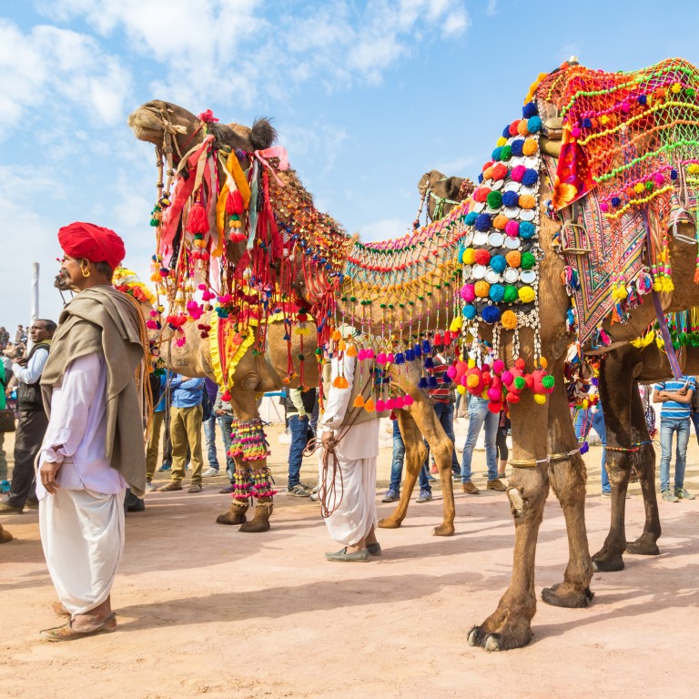 India’s Rajasthan state once had a thriving camel industry, but now ...