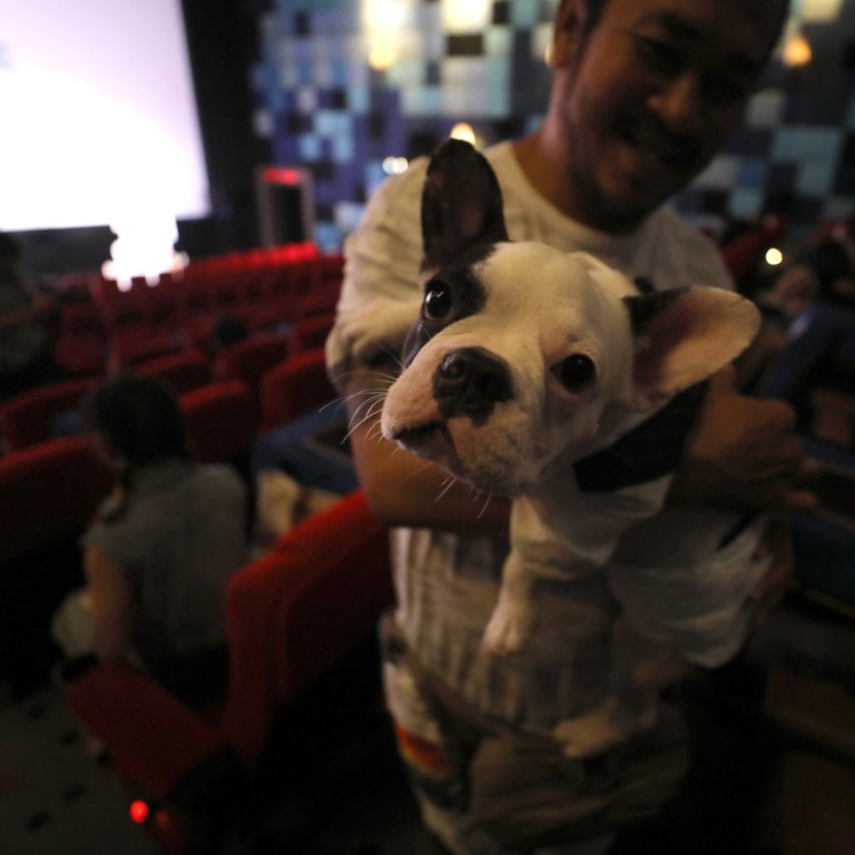Thailand’s first pet-friendly cinema opens to four-legged film-goers ...