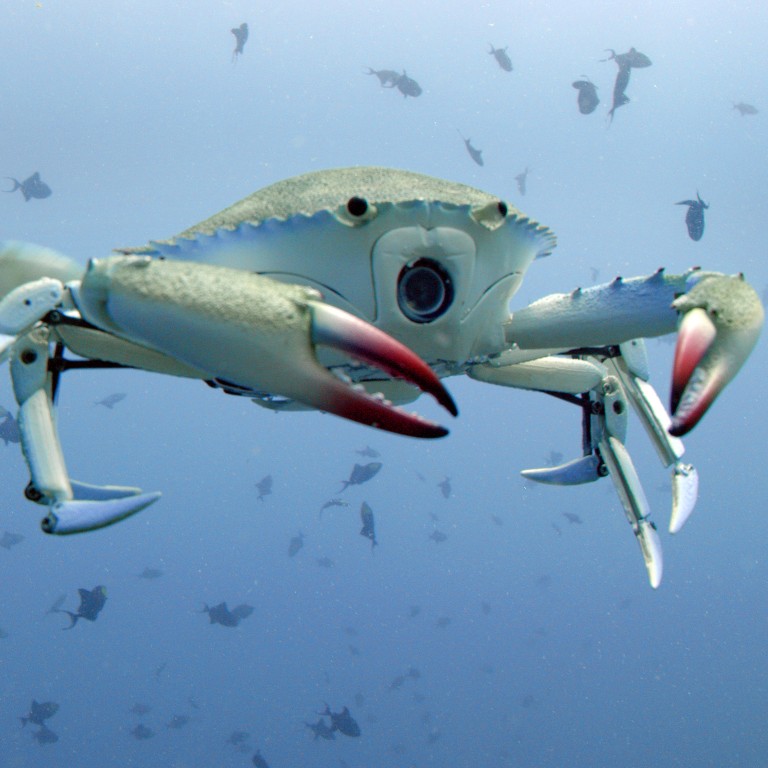 BBC’s Spy in the Ocean: how the incredible animatronic animals evolved, why they’re so effective ...