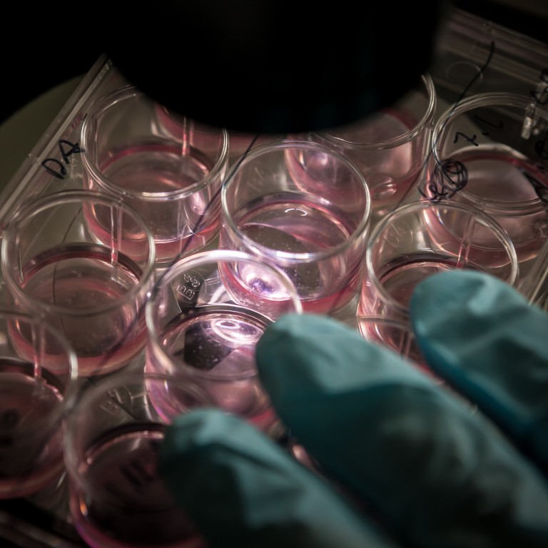 Lab-grown human embryo models spark calls for regulation | South China ...