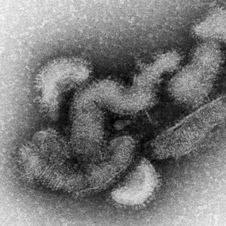 Japan sees world’s first death from tick-borne Oz virus | South China ...