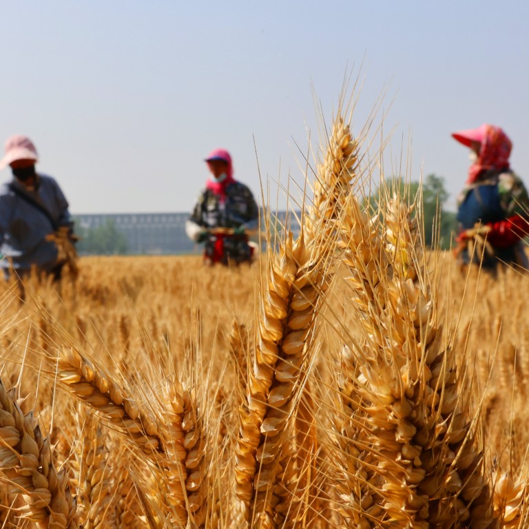 China Food Security With New Law Can Beijing Reverse Loss Of Arable china-food-security-with-new-law-can-beijing-reverse-loss-of-arable