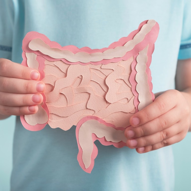 Hong Kong researchers find links between onset of Parkinson’s and gut ...