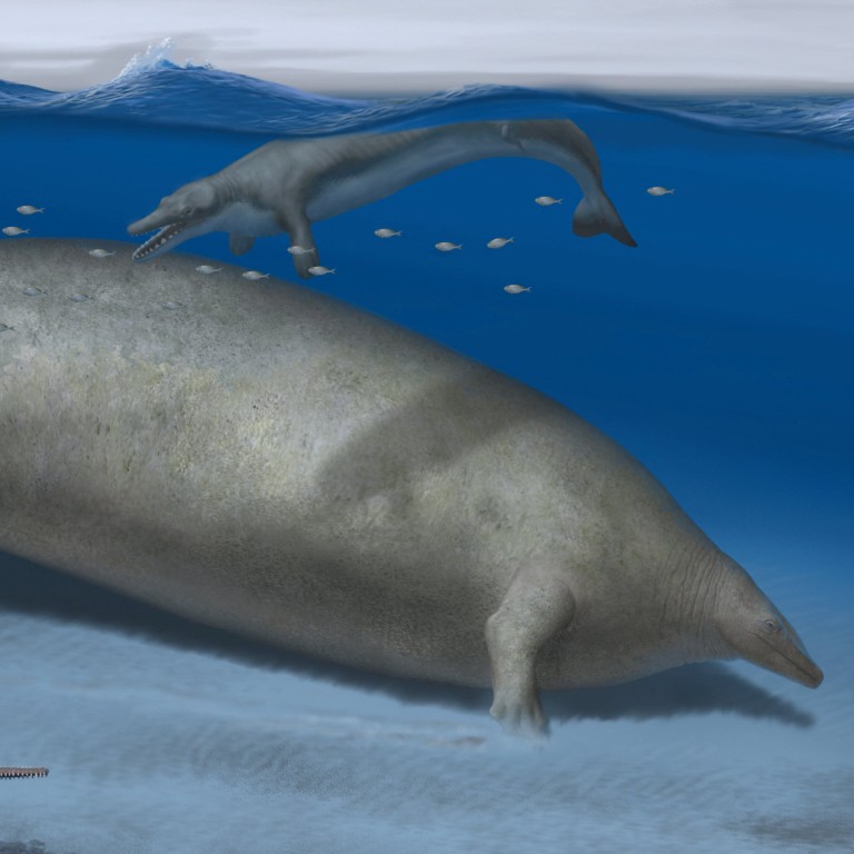 Heaviest animal ever? Scientists discover massive ancient whale | South ... Heaviest animal ever? Scientists discover massive ancient whale | South ...