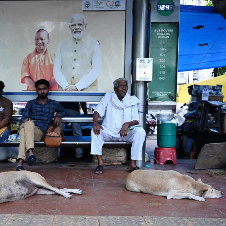 New Delhi halts plan to hide street dogs for G20 summit amid intense ...