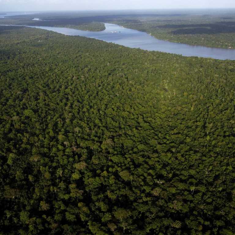 Amazon nations launch alliance to fight deforestation at summit | South ...