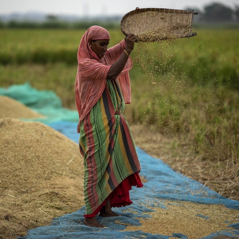 Asia’s rice prices skyrocket after India’s export ban – as Thailand ...