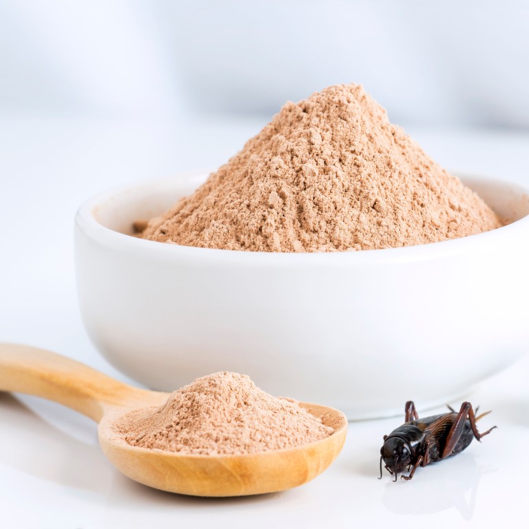 Edible insects crawl into the food market amid growing investment based ...
