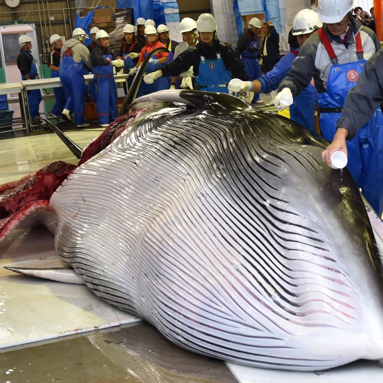 How a dispute over whaling could spur Japan’s exit from US Indo-Pacific ...