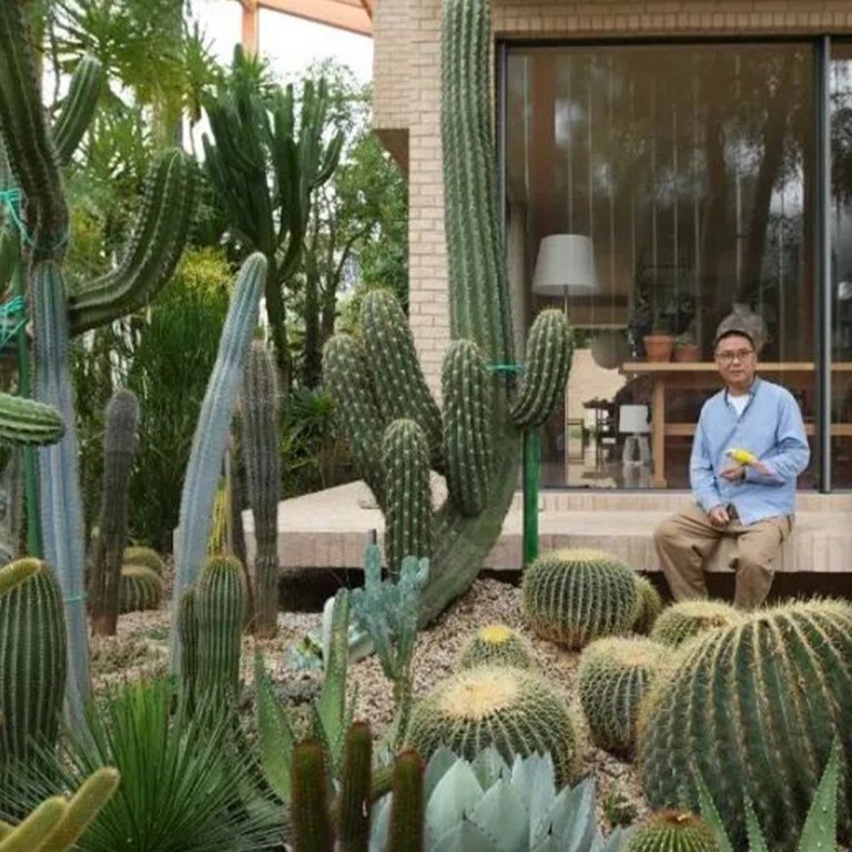 Cactus crazy: passion for spikey desert plant sees China couple amass ...