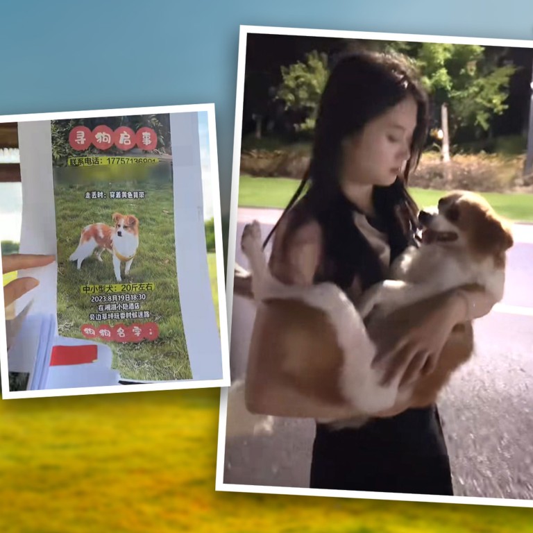 ‘It is fate’: dead-of-night reunion of China dog owner and lost pet during camping trip touches ...