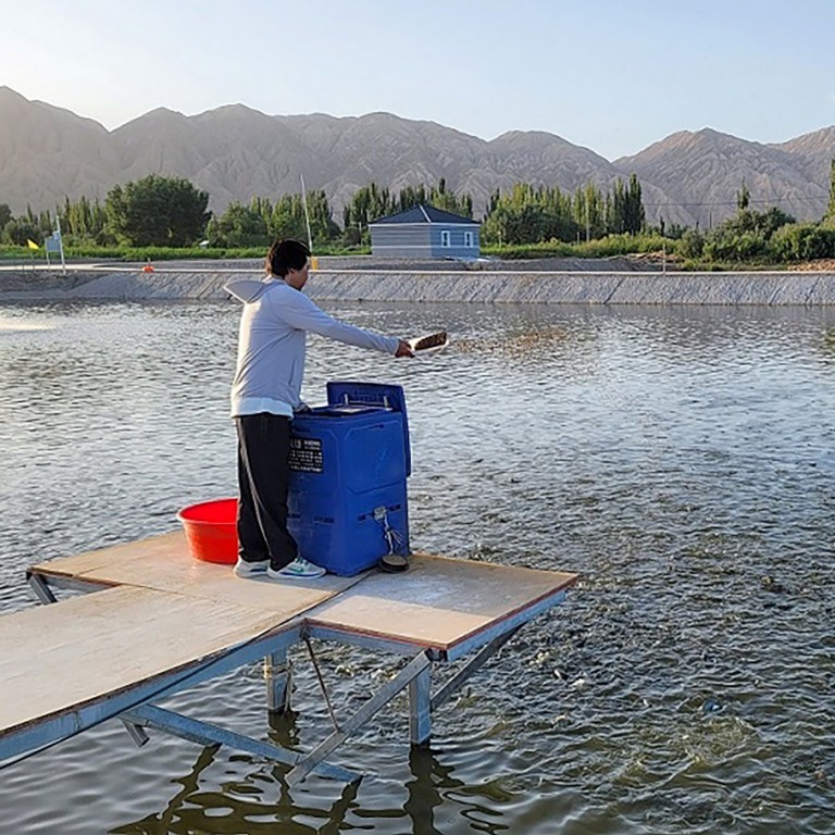China’s food security: Xinjiang develops seawater aquafarming in desert ...