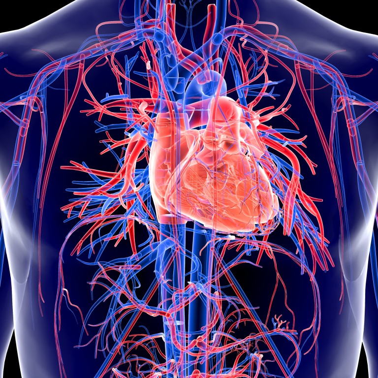 Hong Kong scientists warn steroid drug increases risk of major heart ...