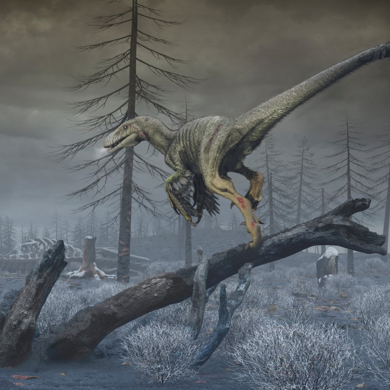 Asteroid dust caused 15-year winter that killed dinosaurs, study says ...