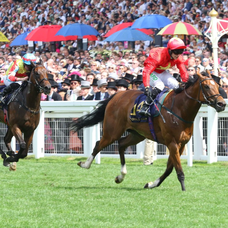 Britain’s Highfield Princess targets Lucky Sweynesse and place in ...