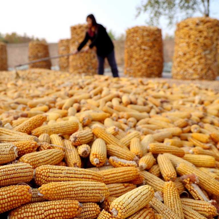 US-China joint study challenges theory on the origins of modern corn ...