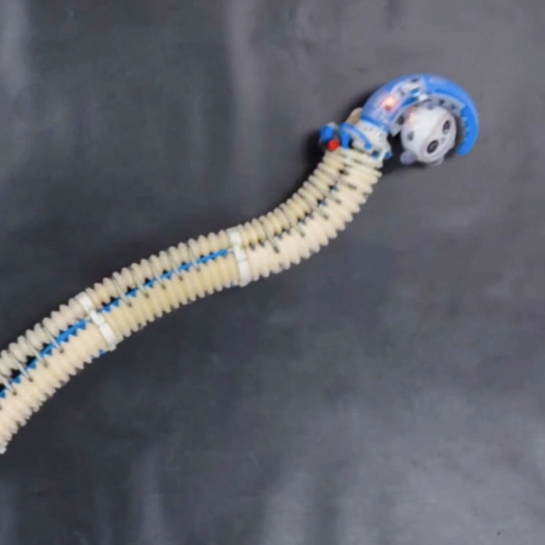 China-led team creates soft ‘octopus’ arm in reach for intuitive human ...