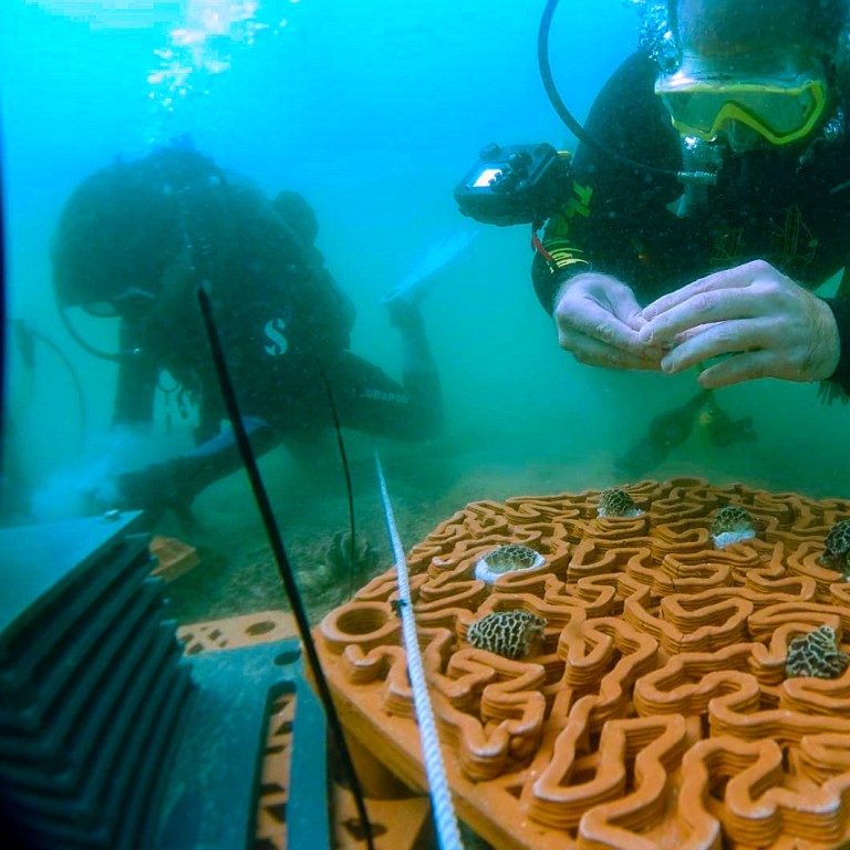 Hong Kong’s Archireef partners with First Abu Dhabi Bank to restore ...