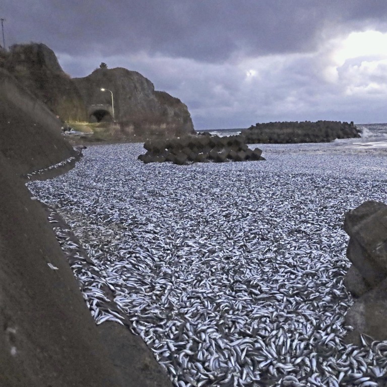 Japan slams ‘sensationalist’ UK tabloid report linking mass fish death ...