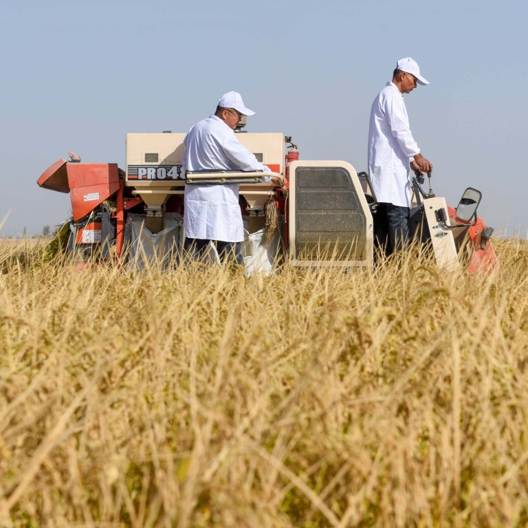 China vaults salt with saline-tolerant crops, increasing yields and ...