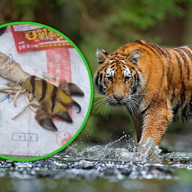 Bad to the bone: China vendors pass off painted ox bones as those of ...