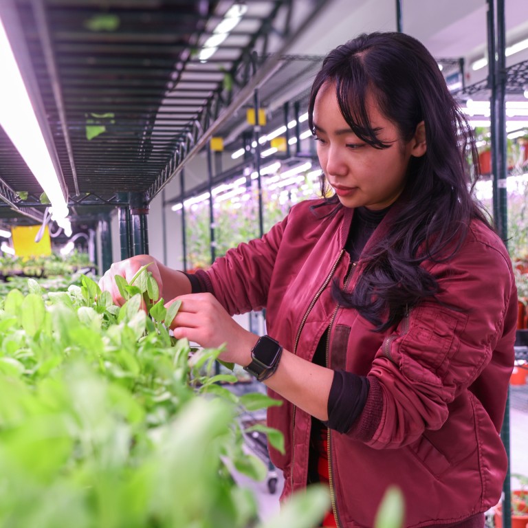 Will Hong Kong’s urban farming sector bloom? Industry leaders say ...
