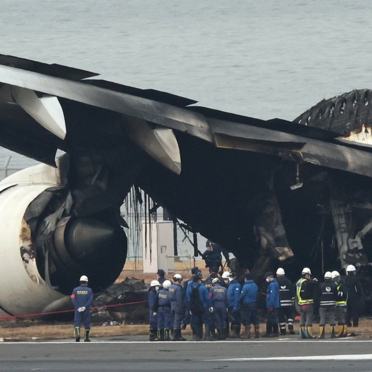 Japan airlines refuse to allow pets in cabin despite animals’ fiery ...