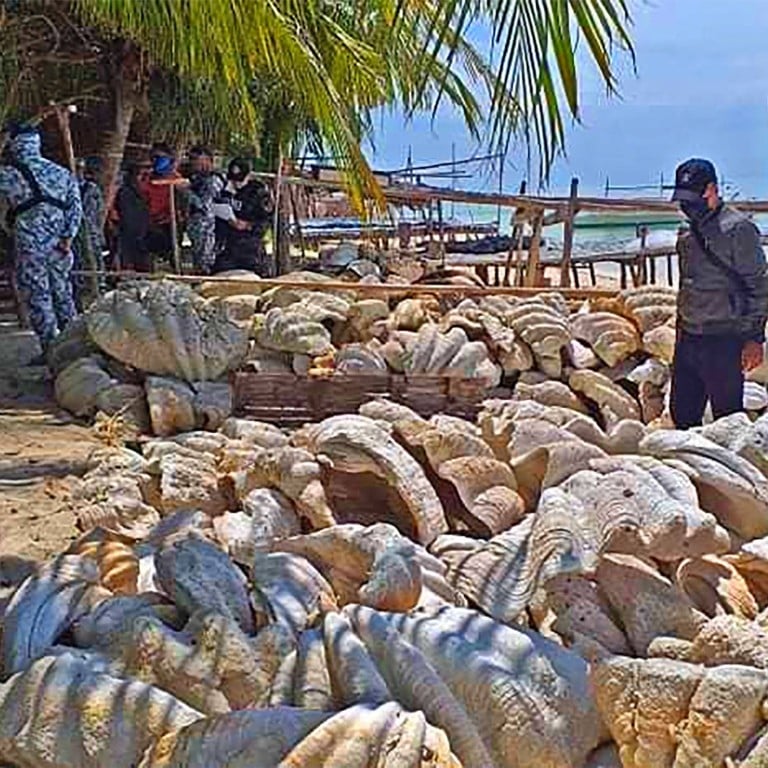 China Urged To Save Coral Reefs In Asian Waters Amid Booming Illegal