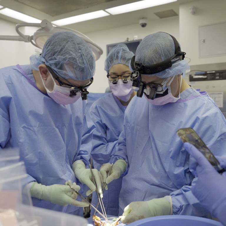 Patients in China and the US have received pig organ transplants ...