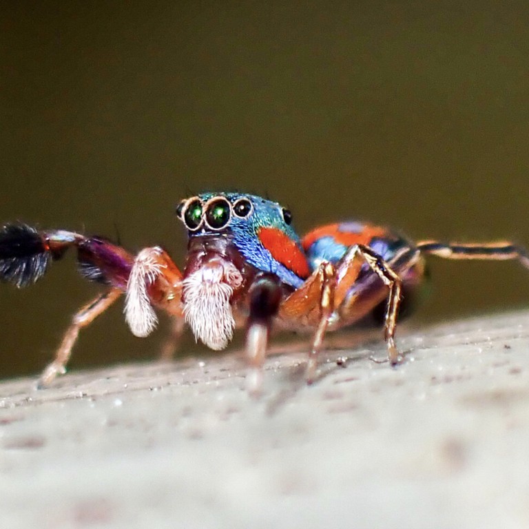 Hong Kong Biodiversity Museum looks to counter ‘prejudice’ against ...