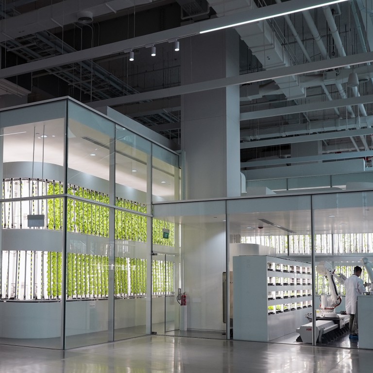 Korean fine dining in a Singaporean car showroom: chef of 3-Michelin ...