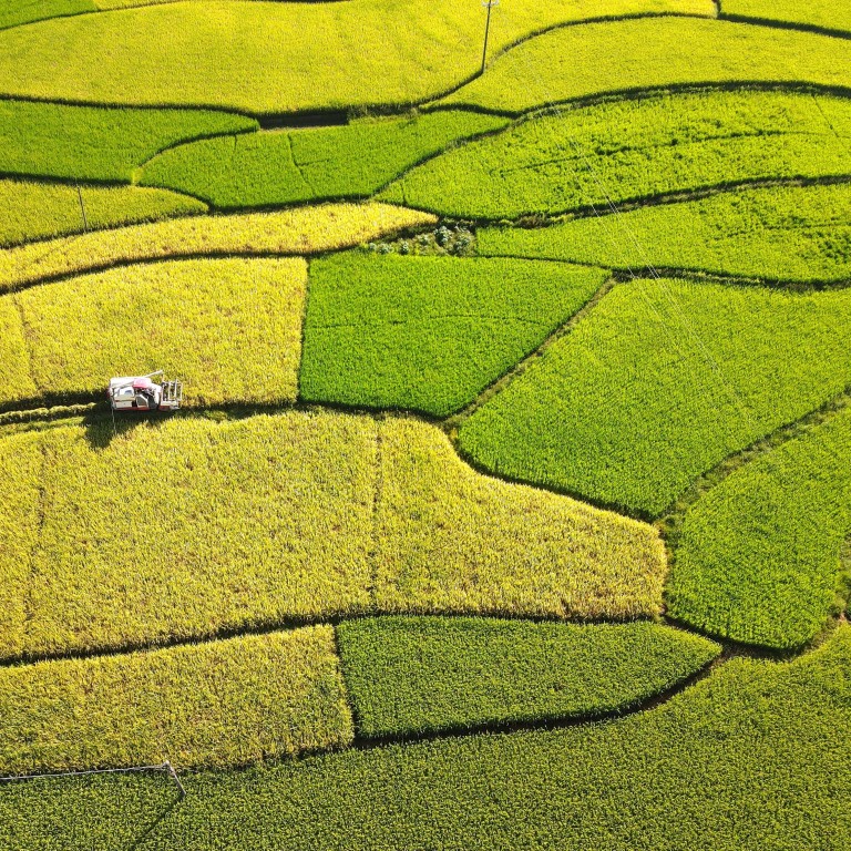 Central Chinese province Hunan to play big role in helping boost ...