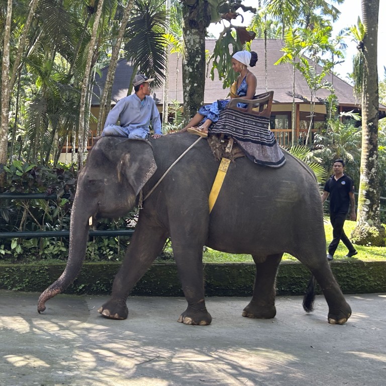 Are Bali’s captive elephants made to do ‘cruel’ tourist activities or ...
